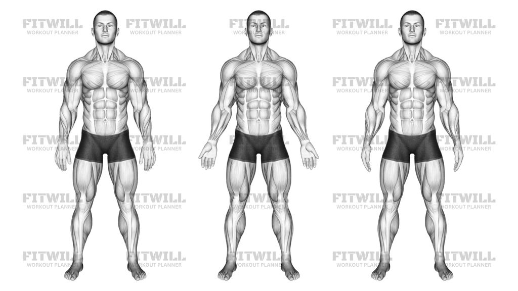 Standing Hands Position (Pronation-Supination-Neutral): Exercise Guide ...