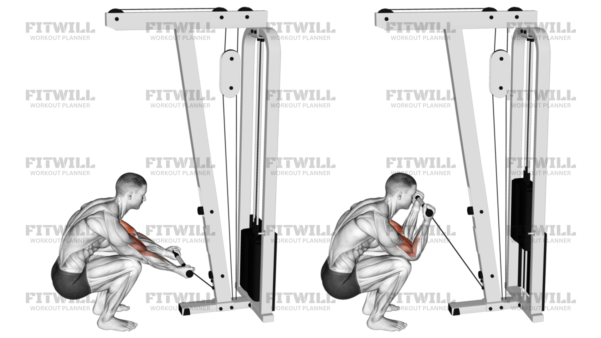 Cable Kneeling Preacher Curl Exercise Guide Techniques Benefits How To Muscles Worked Tips