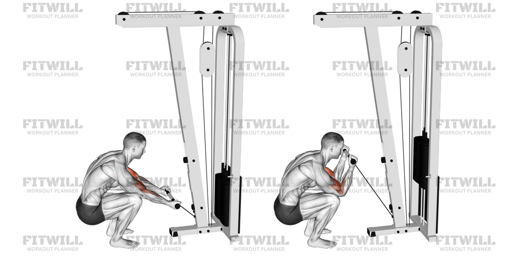 Cable Kneeling Preacher Curl: Exercise Guide, Techniques, Benefits, How ...