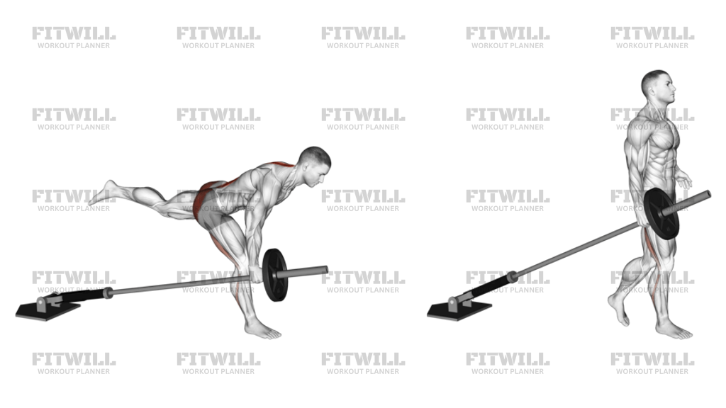 Landmine One Leg Stiff Leg Deadlift: Exercise Guide, Video, Techniques ...