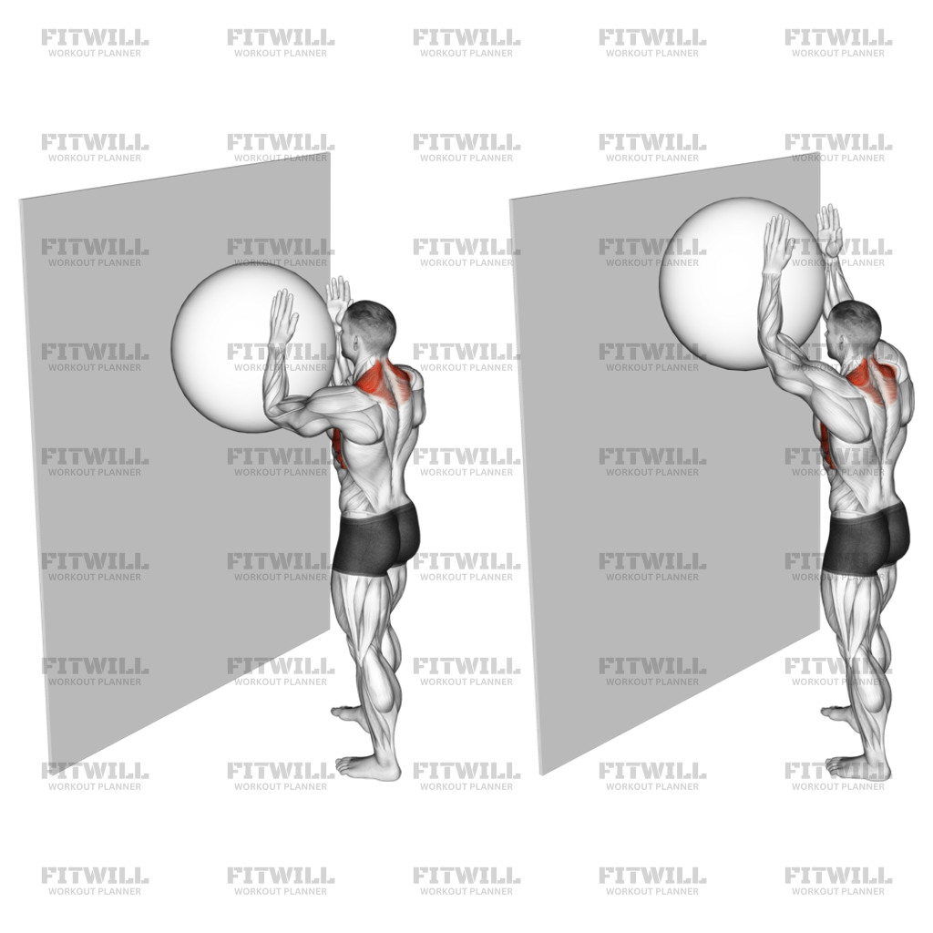Exercise Ball Serratus Wall Slide: Exercise Guide, Techniques, Benefits ...