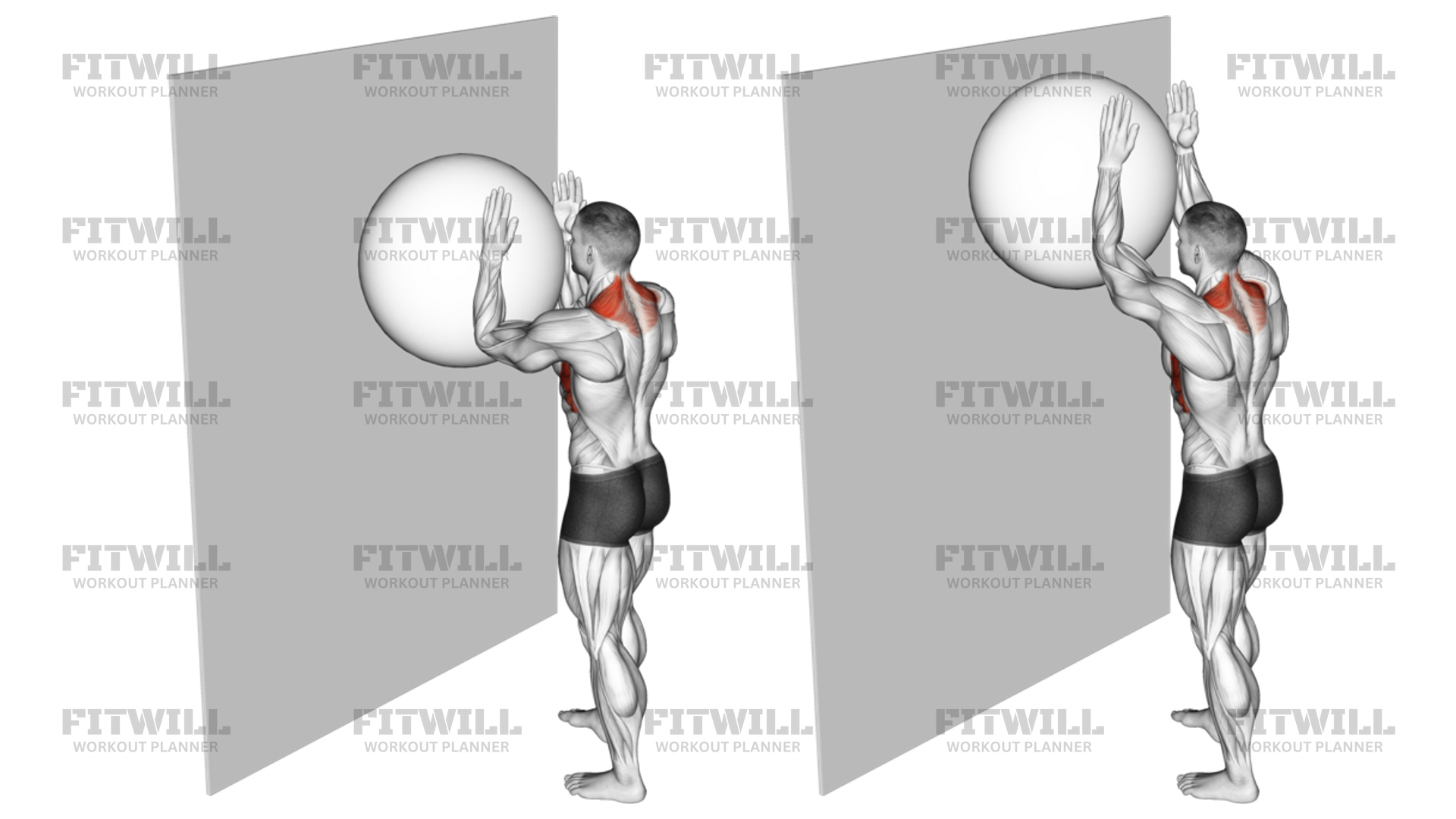 Exercise Ball Serratus Wall Slide: Exercise Guide, Techniques, Benefits ...