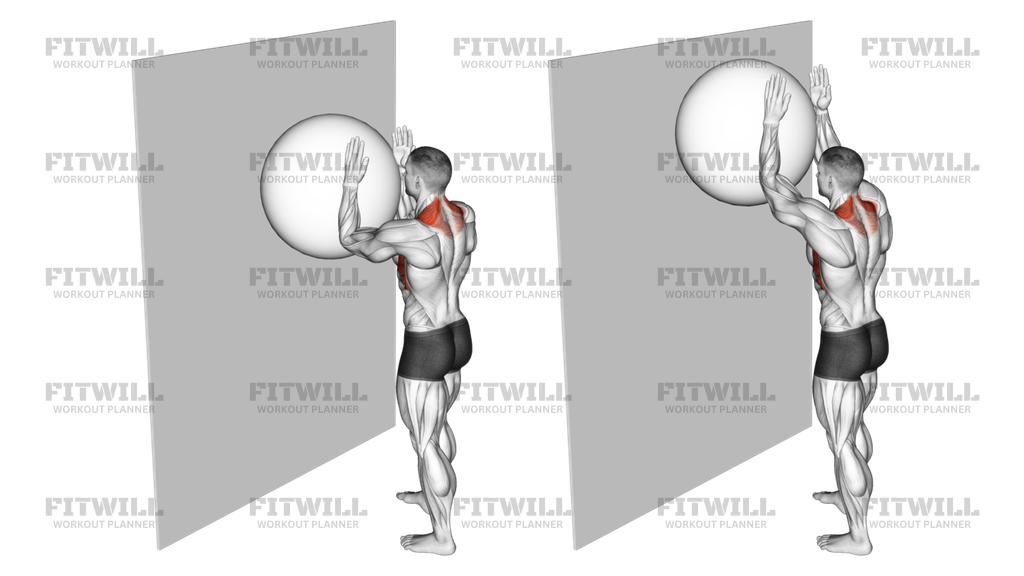 Exercise Ball Serratus Wall Slide: Exercise Guide, Techniques, Benefits ...
