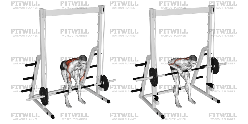Smith Bent Over Narrow Pronated Grip Row: Exercise Guide, Techniques ...