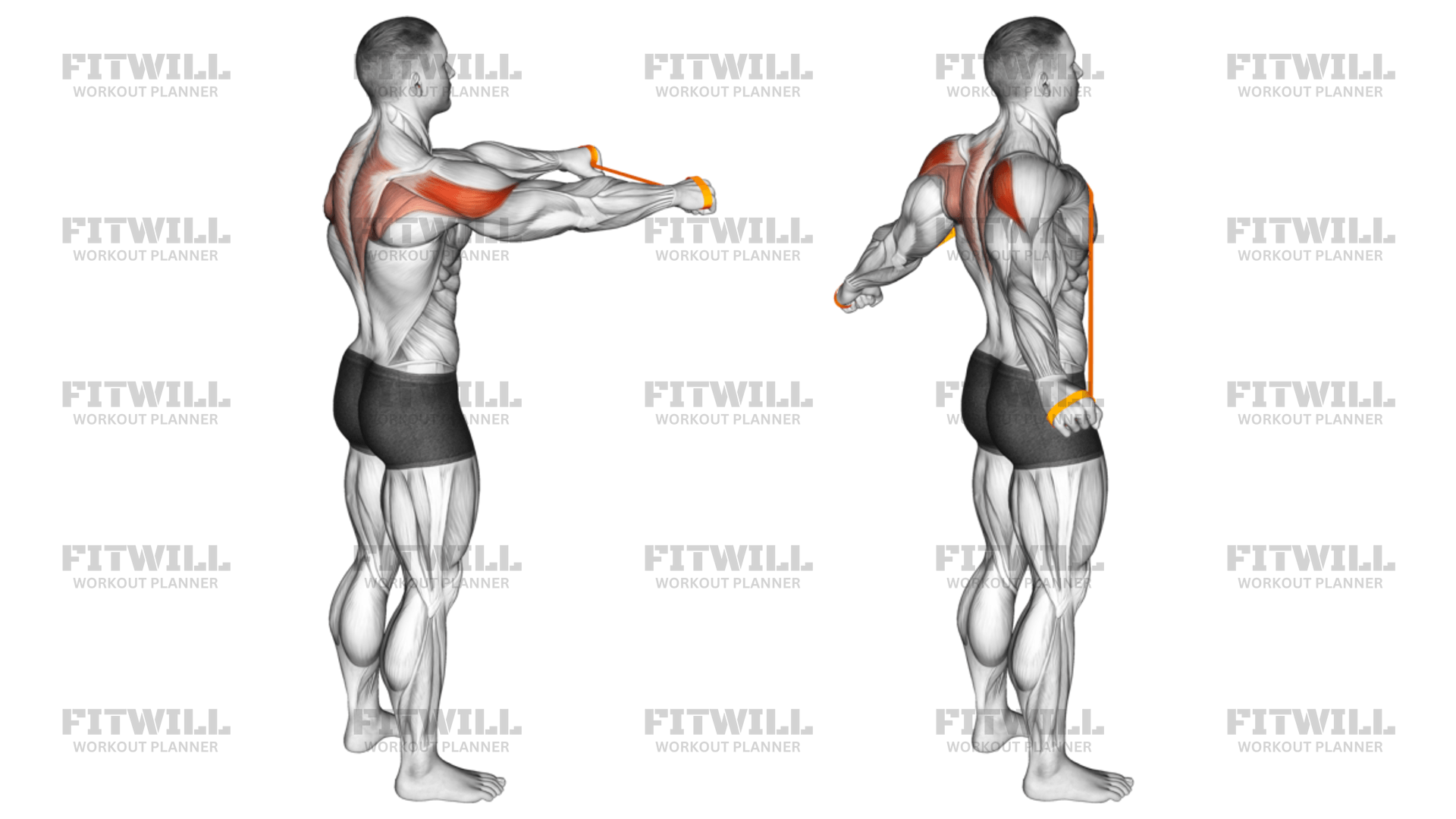 Resistance Band Pull Apart (45 Degrees): Exercise Guide, Techniques ...