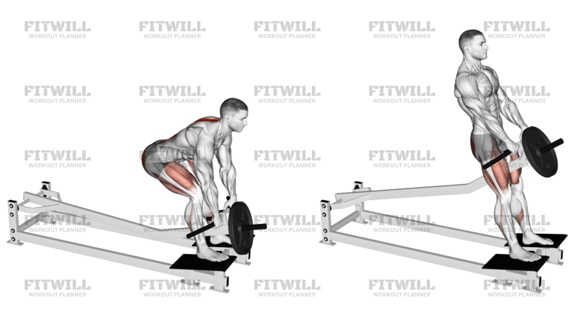 Peso Muerto Rumano Con Barra En T Y Palanca: Guía de Ejercicios, Técnicas, Beneficios, Cómo ...