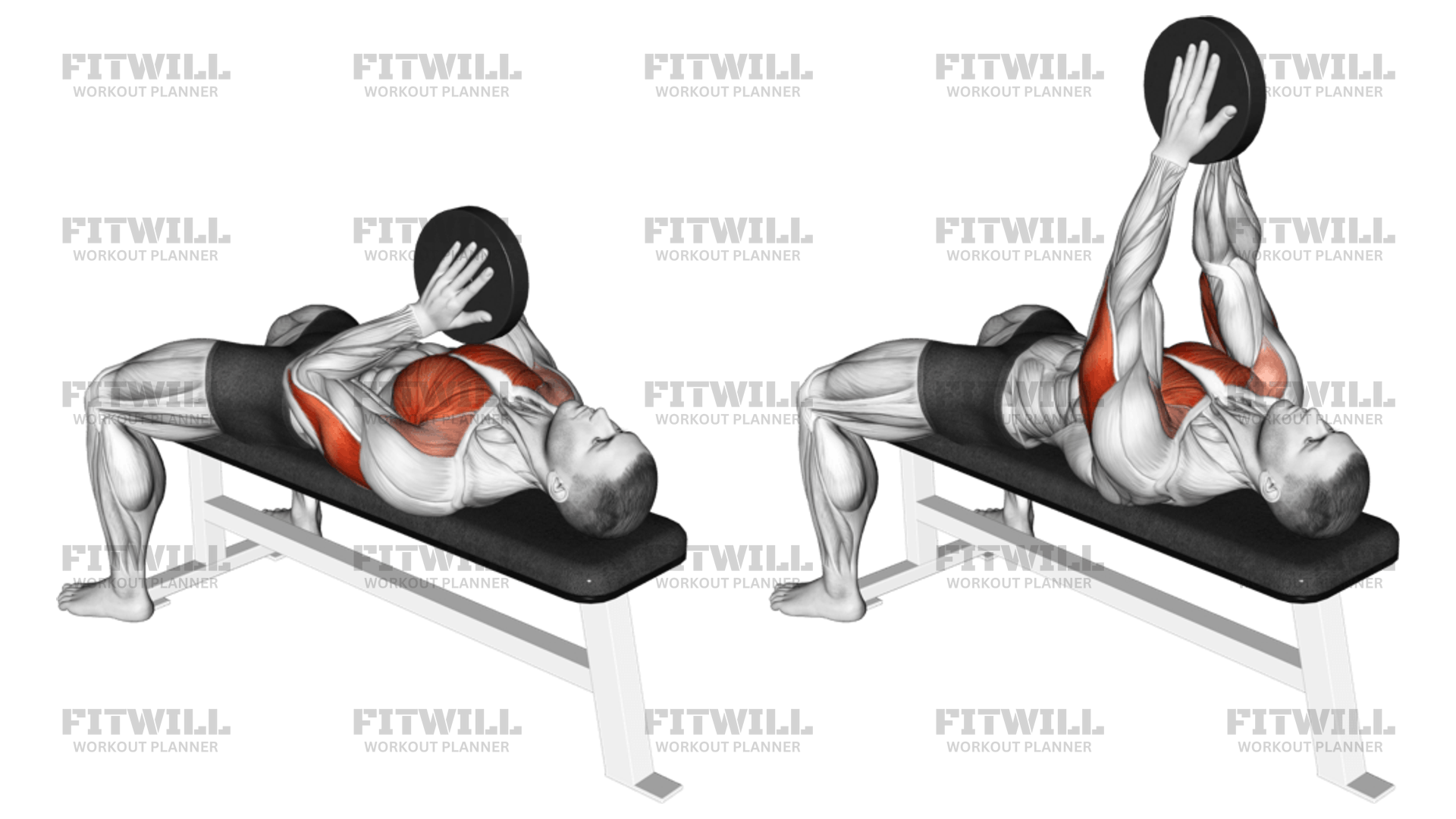 Svend Bench Press: Exercise Guide, Video, Techniques, Benefits, How to ...