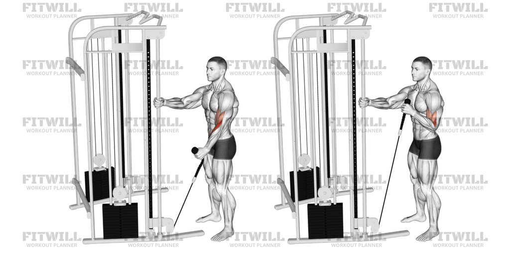 Cable Standing One Arm Hammer Curl With Rope Attachment: Exercise Guide ...