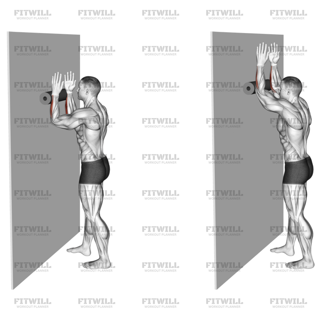 Roll Forearms Standing Against Wall: Exercise Guide, Video, Techniques ...