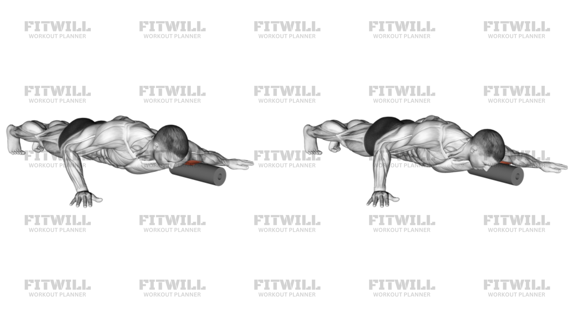 Roll Biceps Lying On Floor: Exercise Guide, Video, Techniques, Benefits ...