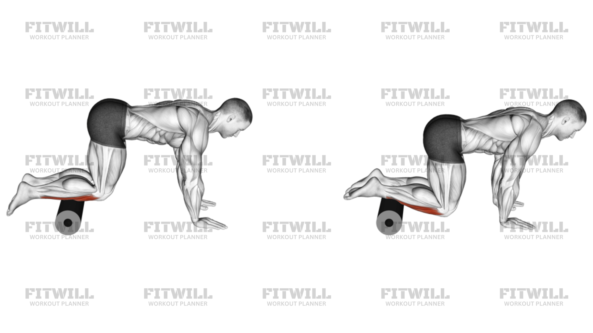 Roll Tibialis Anterior: Exercise Guide, Video, Techniques, Benefits ...