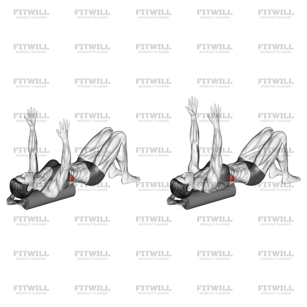 Roll Shoulder Blade Reach Lying On Floor: Exercise Video | Fitwill