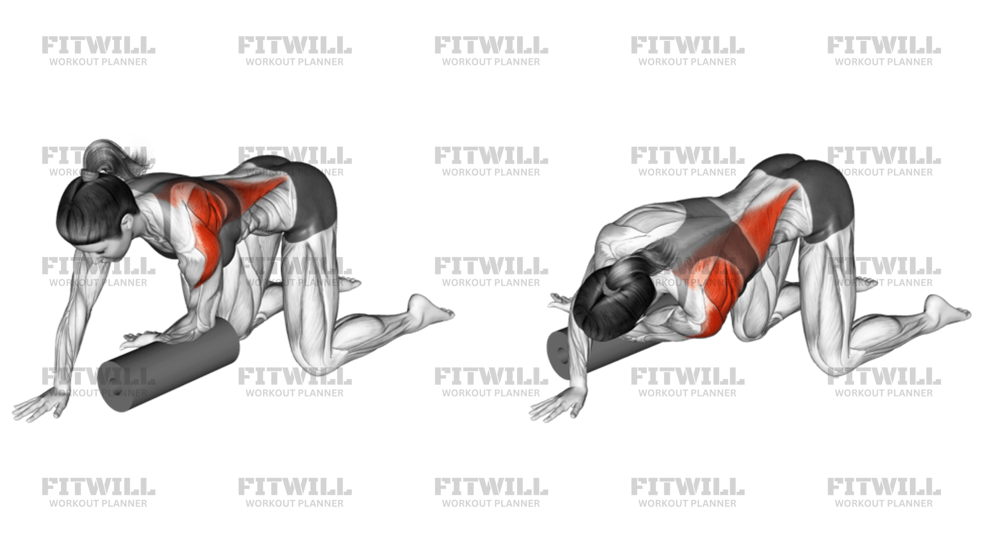 Roll Kneeling Upper Back Rotation: Exercise Guide, Video, Techniques ...