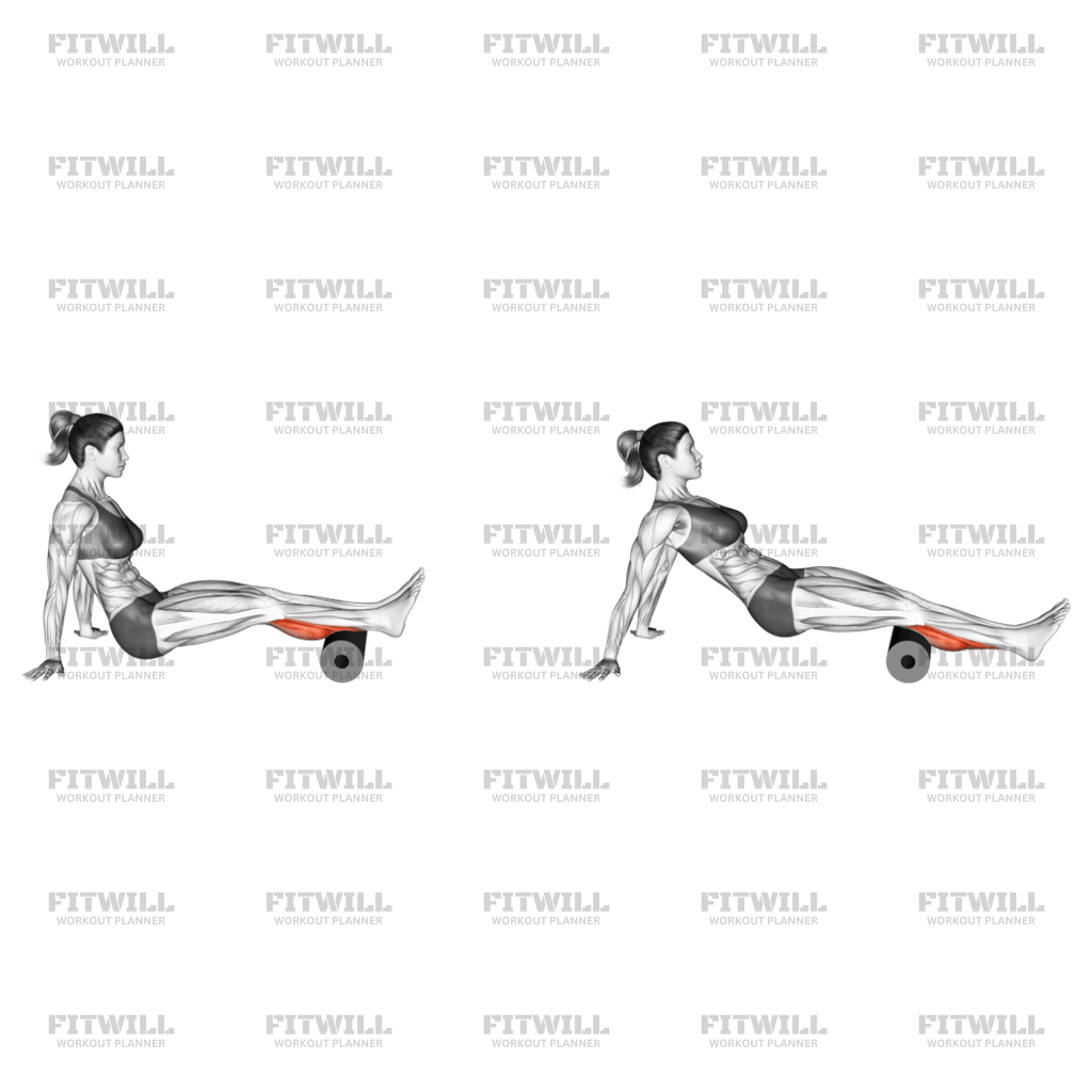 Roll Calves: Exercise Guide, Video, Techniques, Benefits, How to ...