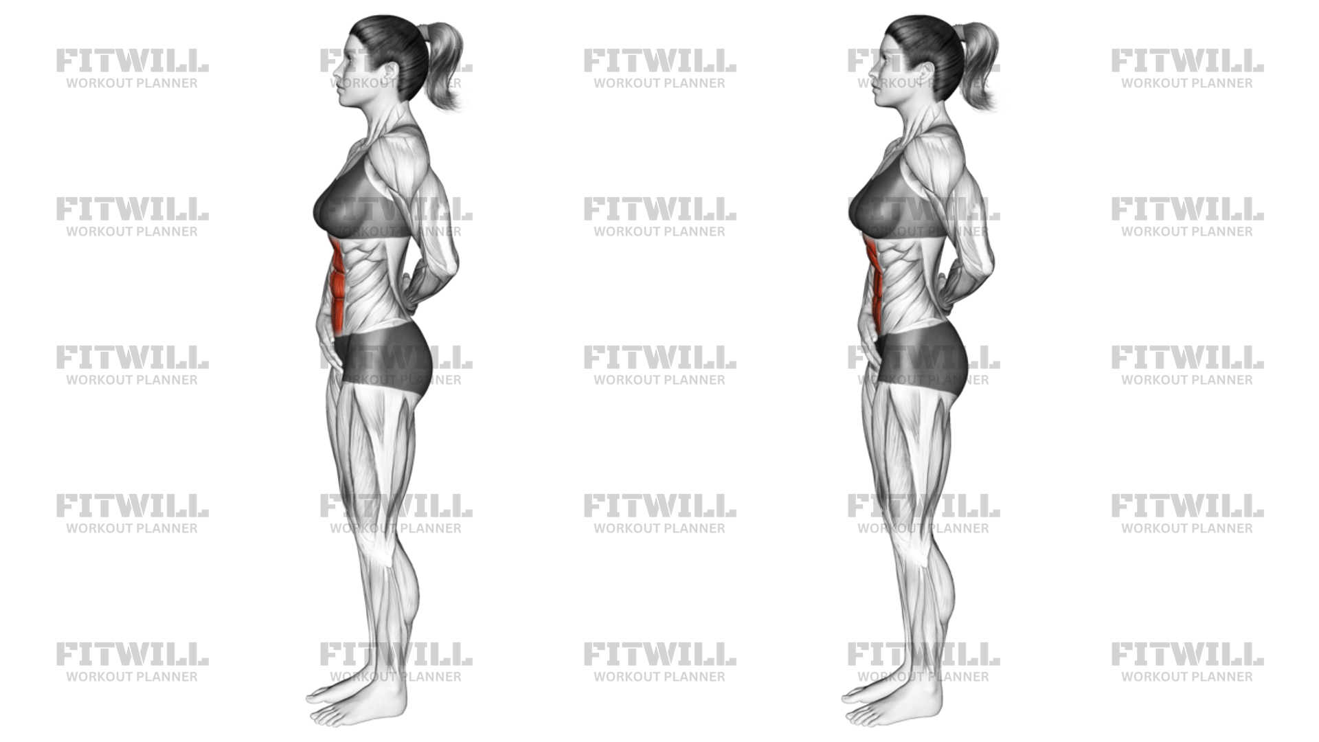 Vacío Abdominal De Pie: Guía de Ejercicios, Video, Técnicas, Beneficios ...
