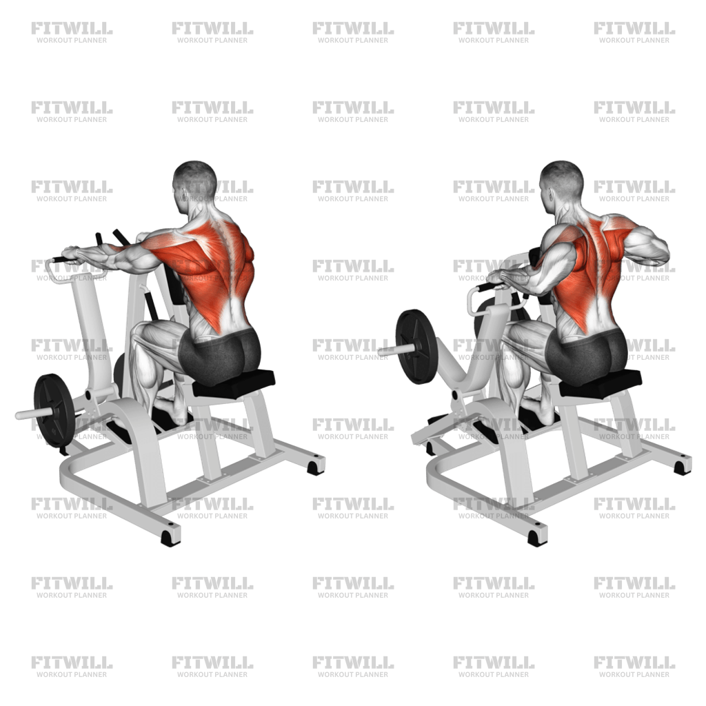 Lever Pronated Grip Seated Row (plate Loaded): Exercise Guide, Video ...