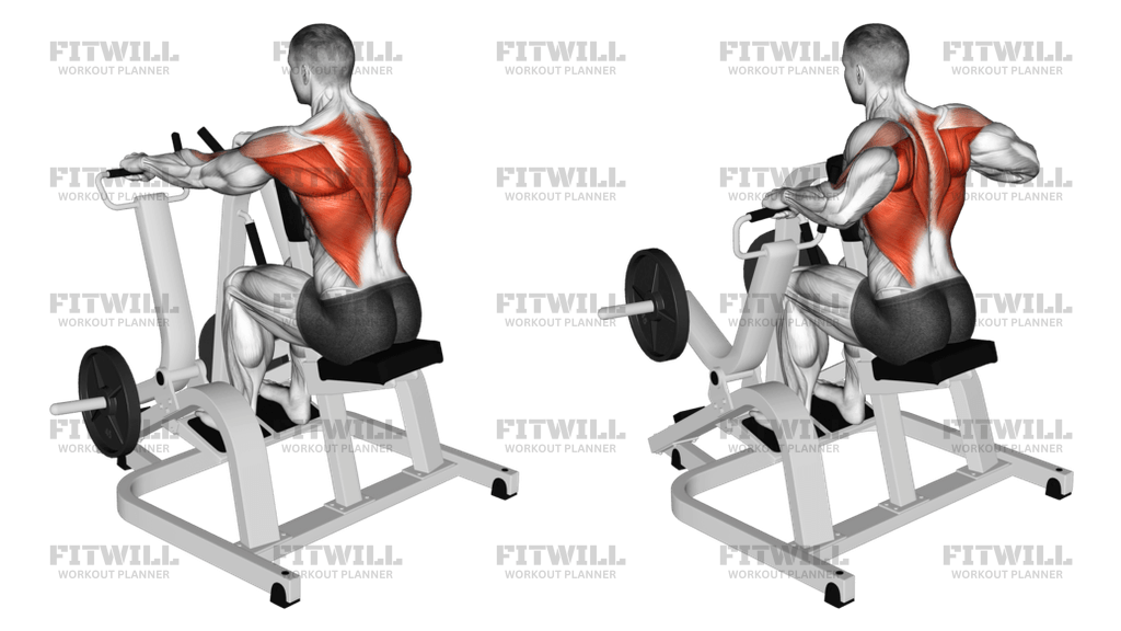 Lever Pronated Grip Seated Row (plate Loaded): Exercise Guide, Video ...