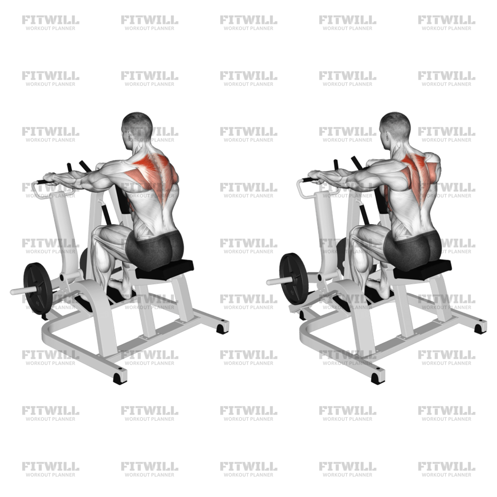 Lever Pronated Grip Seated Scapular Retraction Shrug (plate Loaded ...
