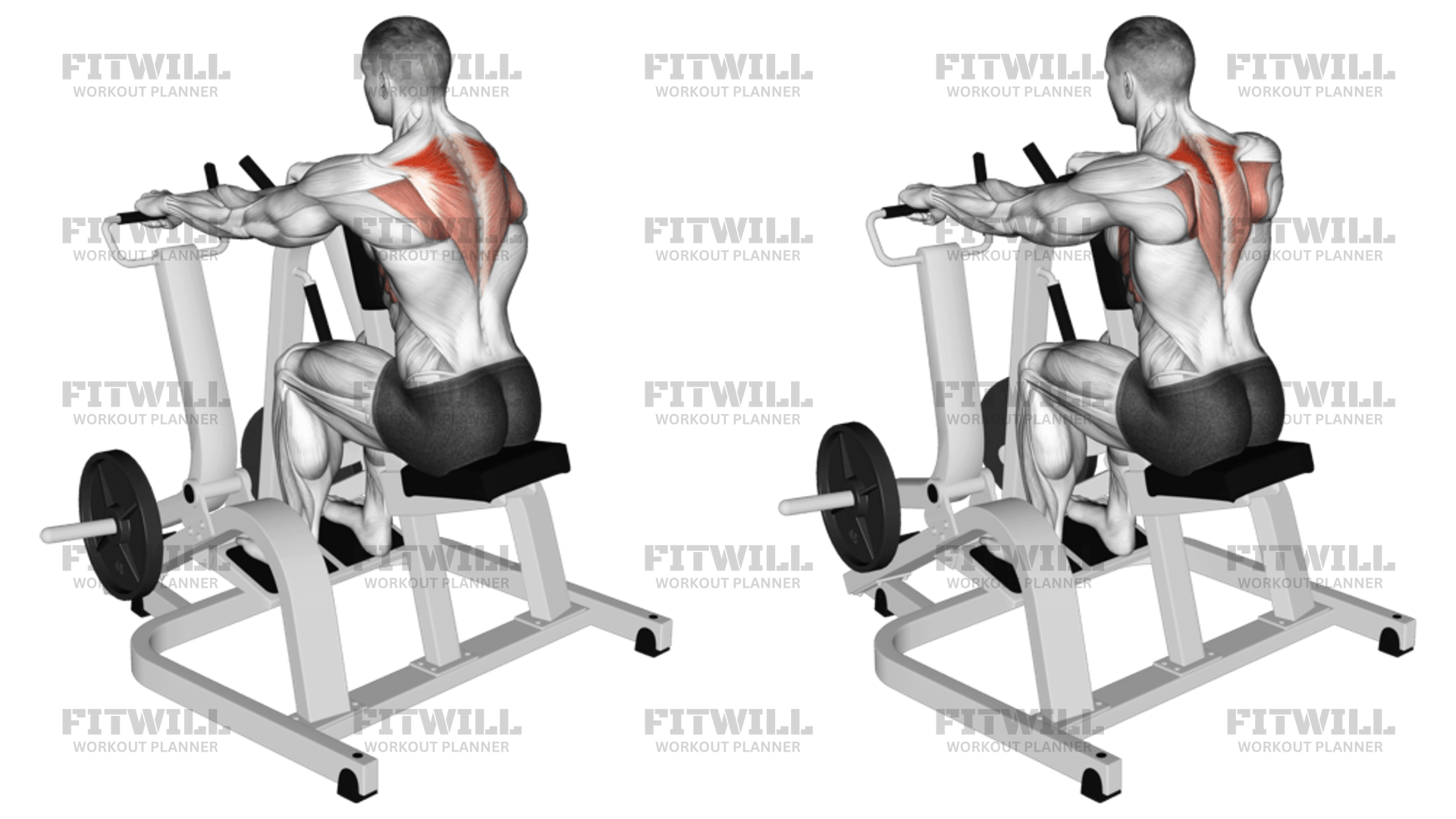 Lever Pronated Grip Seated Scapular Retraction Shrug (plate Loaded ...
