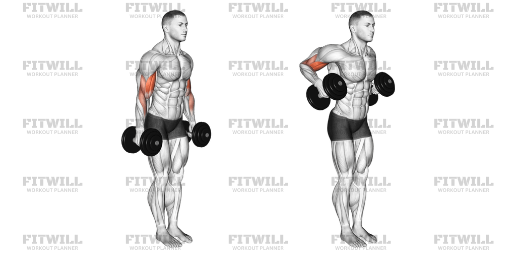 Dumbbell Standing Drag Curl Version 2: Exercise Guide, Video ...