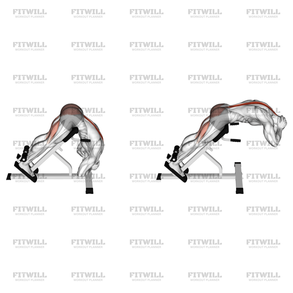 Extensión De Espalda Redondeada: Guía de Ejercicios, Video, Técnicas ...