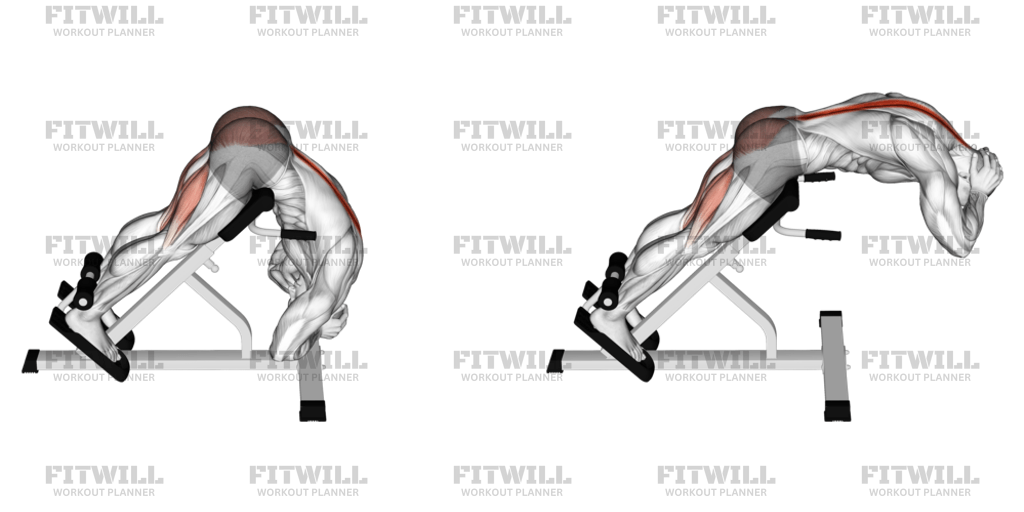 Rounded Back Extension: Exercise Guide, Video, Techniques, Benefits ...