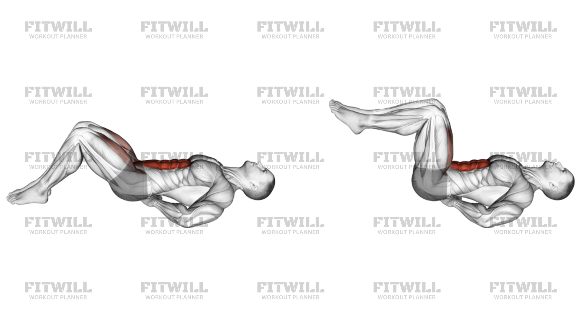 Elevación De Piernas Flexionadas Acostado: Guía de Ejercicios, Video ...