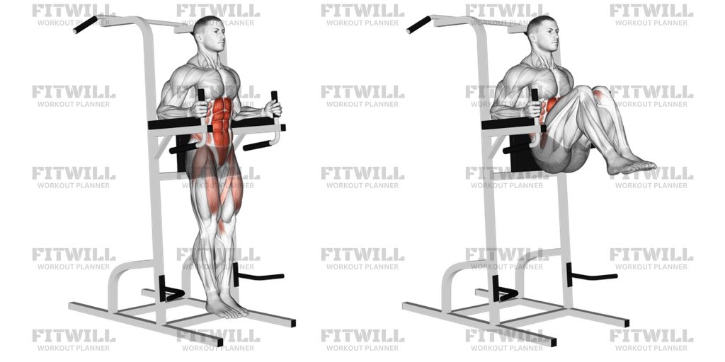 Vertical Leg Raise (on Parallel Bars): Exercise Guide, Techniques ...