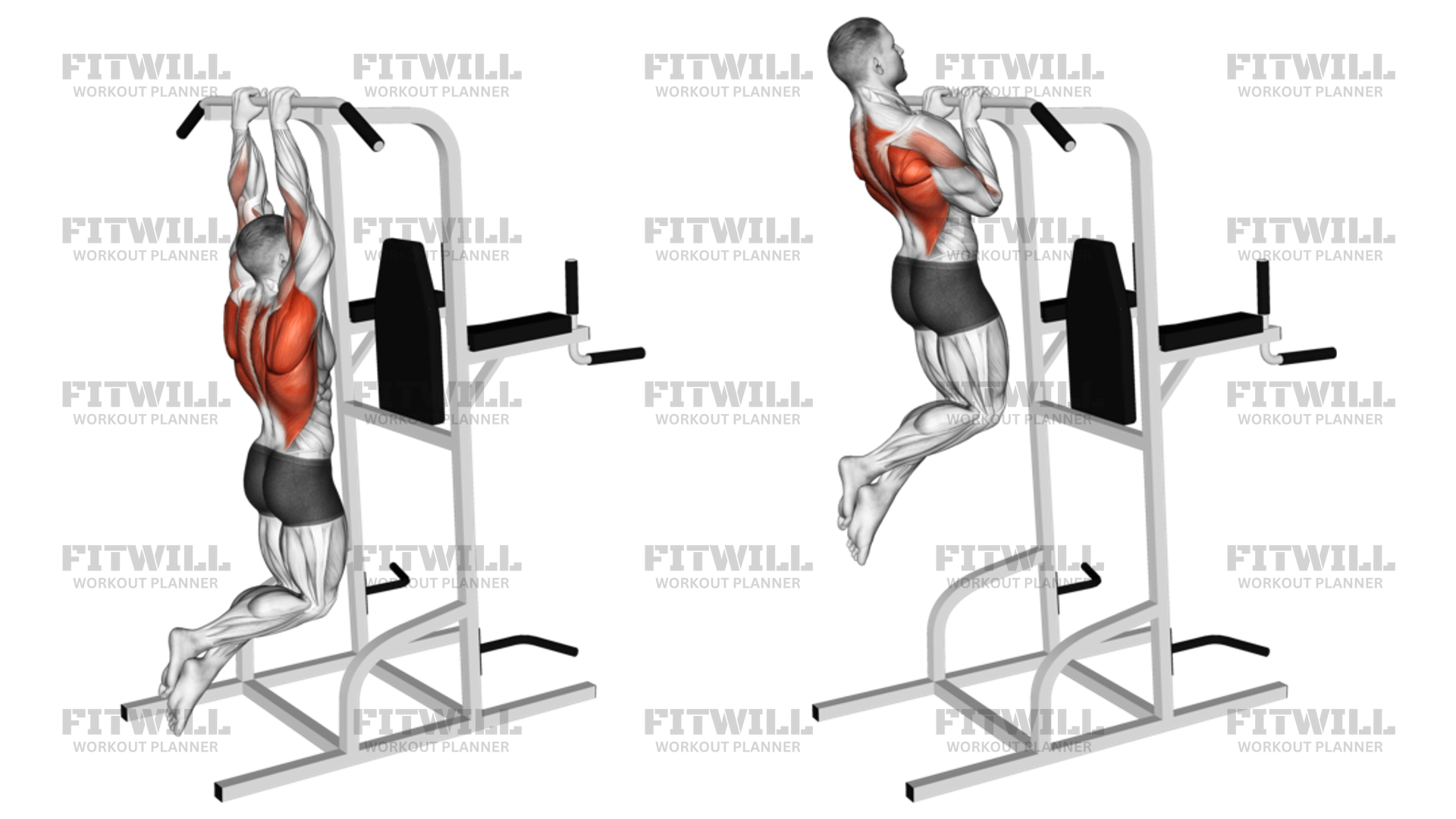 Close Grip Pull-Up: Exercise Guide, Video, Techniques, Benefits, How to ...