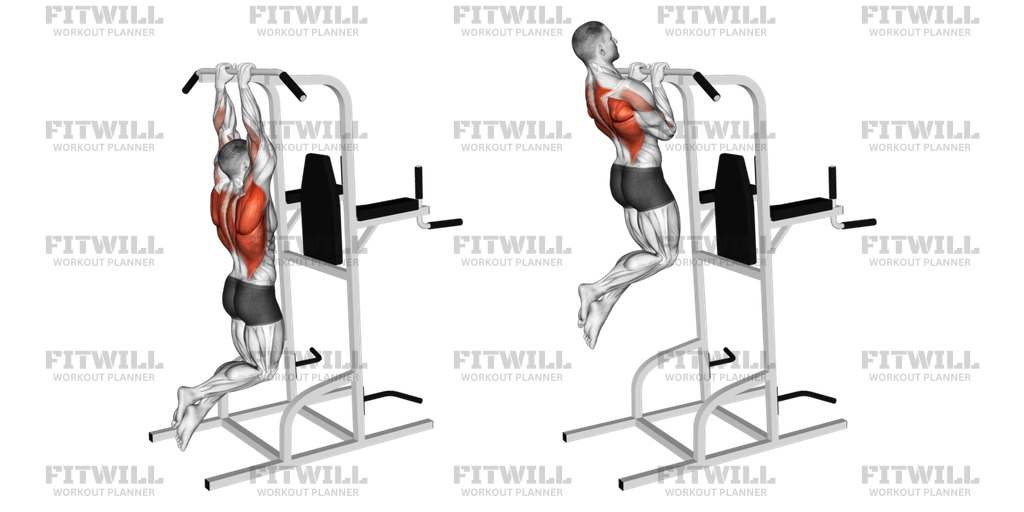 Close Grip Pull-Up: Exercise Guide, Video, Techniques, Benefits, How to ...