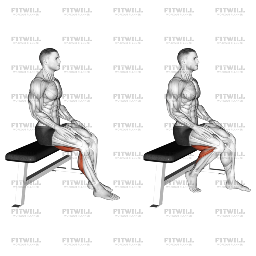 Seated Foot Slide: Exercise Guide, Techniques, Benefits, How to ...