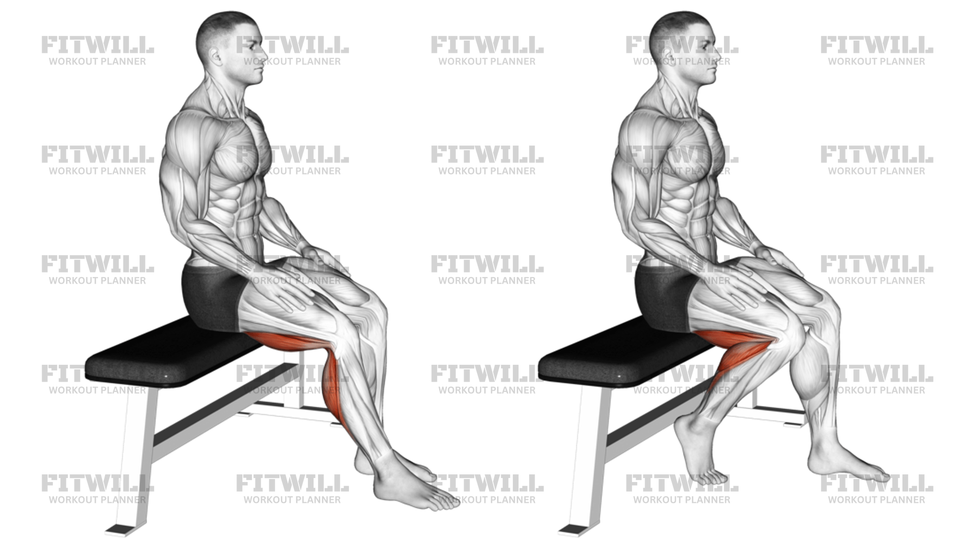 Seated Foot Slide: Exercise Guide, Techniques, Benefits, How to ...