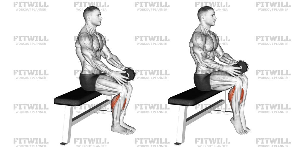 Weighted Seated Calf Raise (VERSION 2): Exercise Guide, Techniques ...