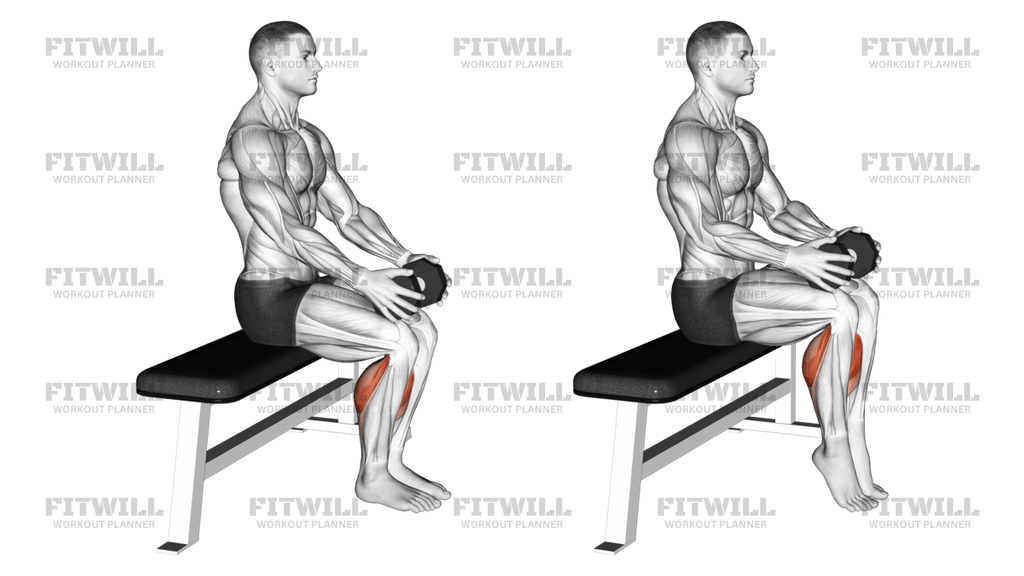 Weighted Seated Calf Raise (VERSION 2): Exercise Guide, Techniques ...