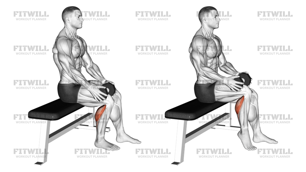 Weighted Seated Single Calf Raise (VERSION 2): Exercise Guide ...