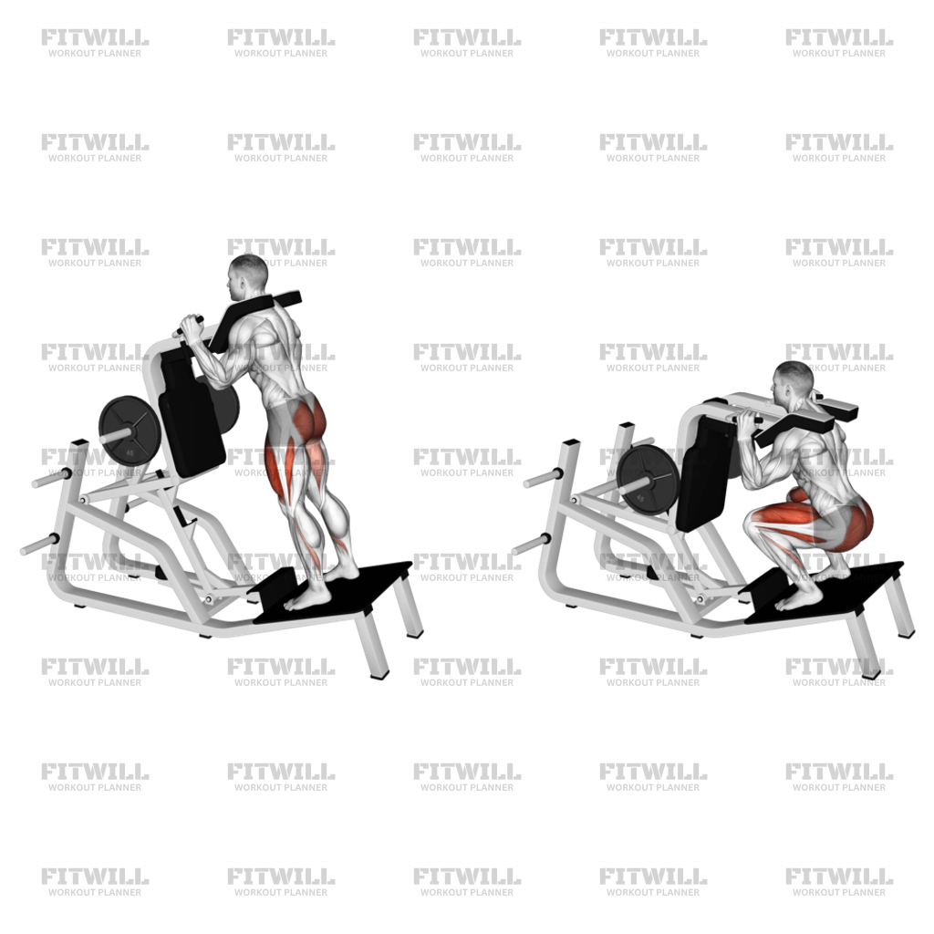 Lever Reverse Vertical Hack Squat: Exercise Guide, Video, Techniques ...