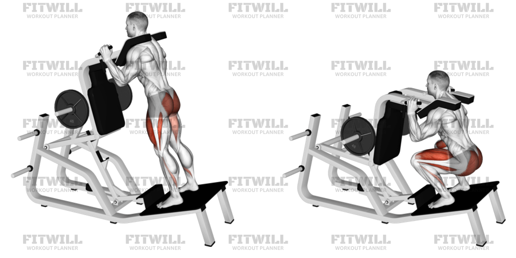 Lever Reverse Vertical Hack Squat: Guide, Techniques, Benefits, How to ... Lever Reverse Vertical Hack Squat: Guide, Techniques, Benefits, How to ...