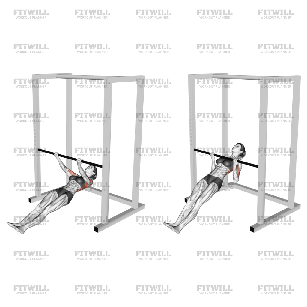 Remo Invertido Con Agarre Supinado: Guía de Ejercicios, Técnicas, Beneficios, Cómo Realizarlo ...