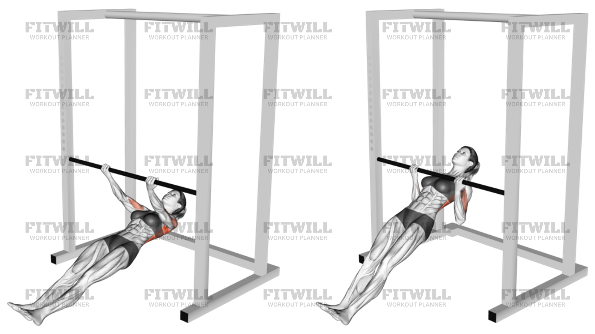 Supinated Grip Inverted Row: Exercise Guide, Techniques, Benefits, How ...