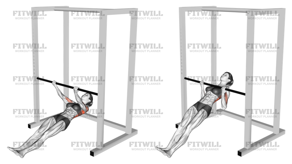 Supinated Grip Inverted Row: Exercise Guide, Techniques, Benefits, How ...