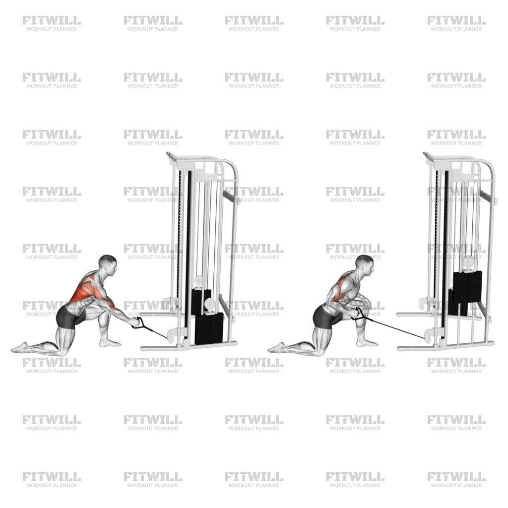 Cable Kneeling Leaning Forward One Arm Row: Exercise Guide, Techniques ...