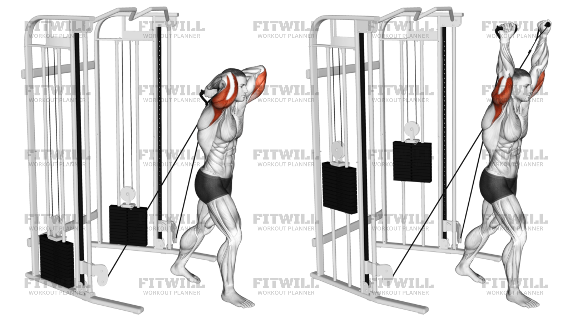 How To Do Cable Standing Crossover Overhead Tricep Extension Techniques Benefits Tips