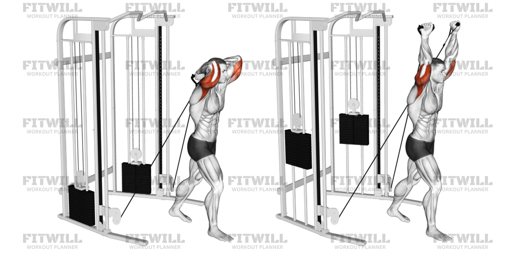 Cable Standing Crossover Overhead Tricep Extension: Exercise Guide ...