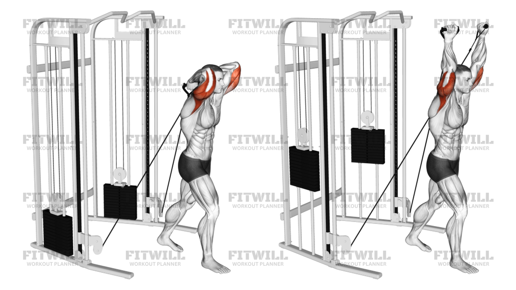 Cable Standing Crossover Overhead Tricep Extension: Exercise Guide ...
