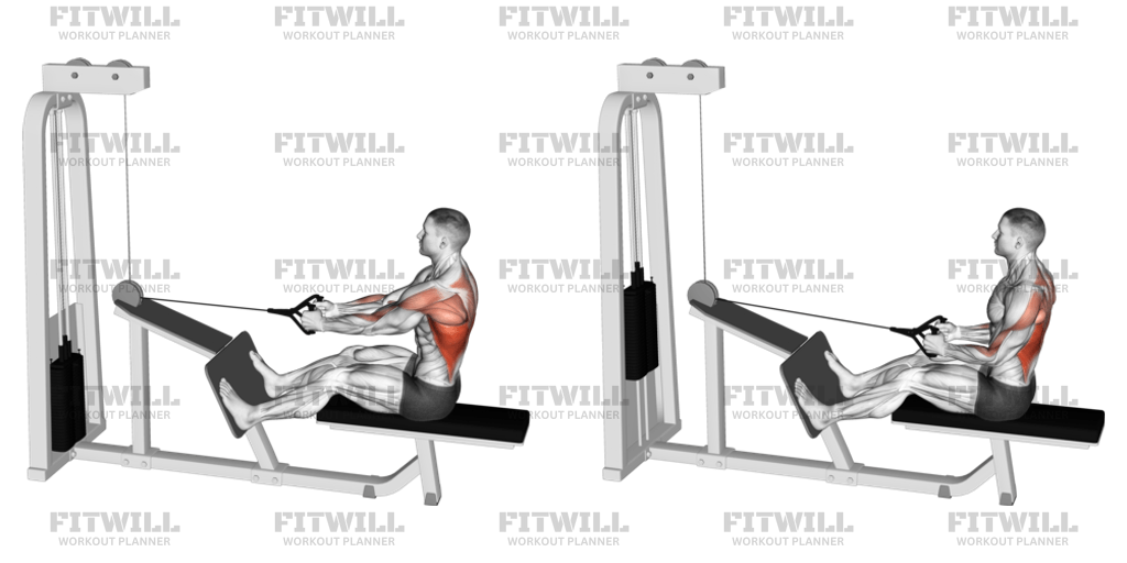 Remo Sentado En Cable Con Enfoque En Dorsales: Guía de Ejercicios ...