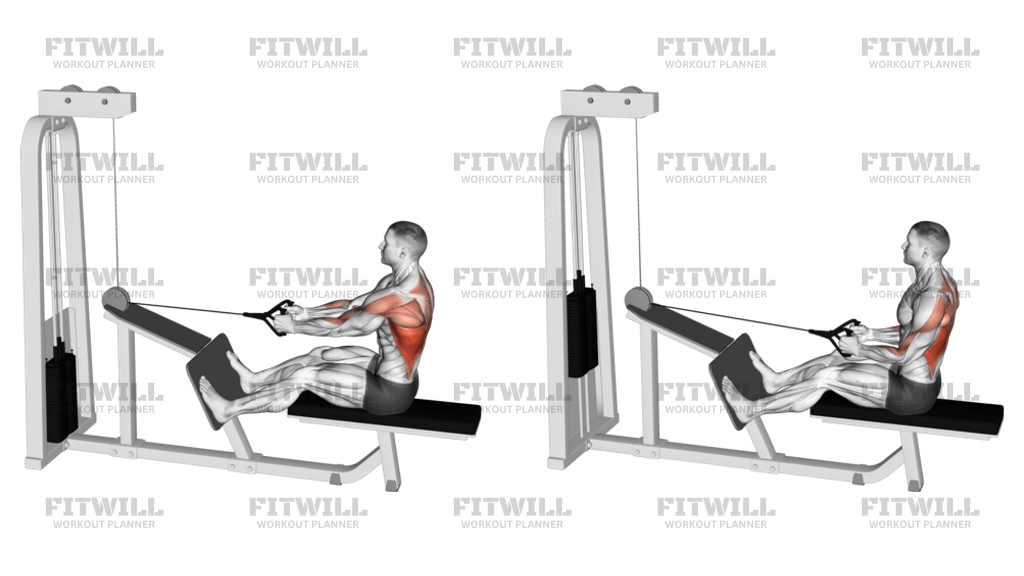 Cable Seated Lats Focused Row: Exercise Guide, Techniques, Benefits ...
