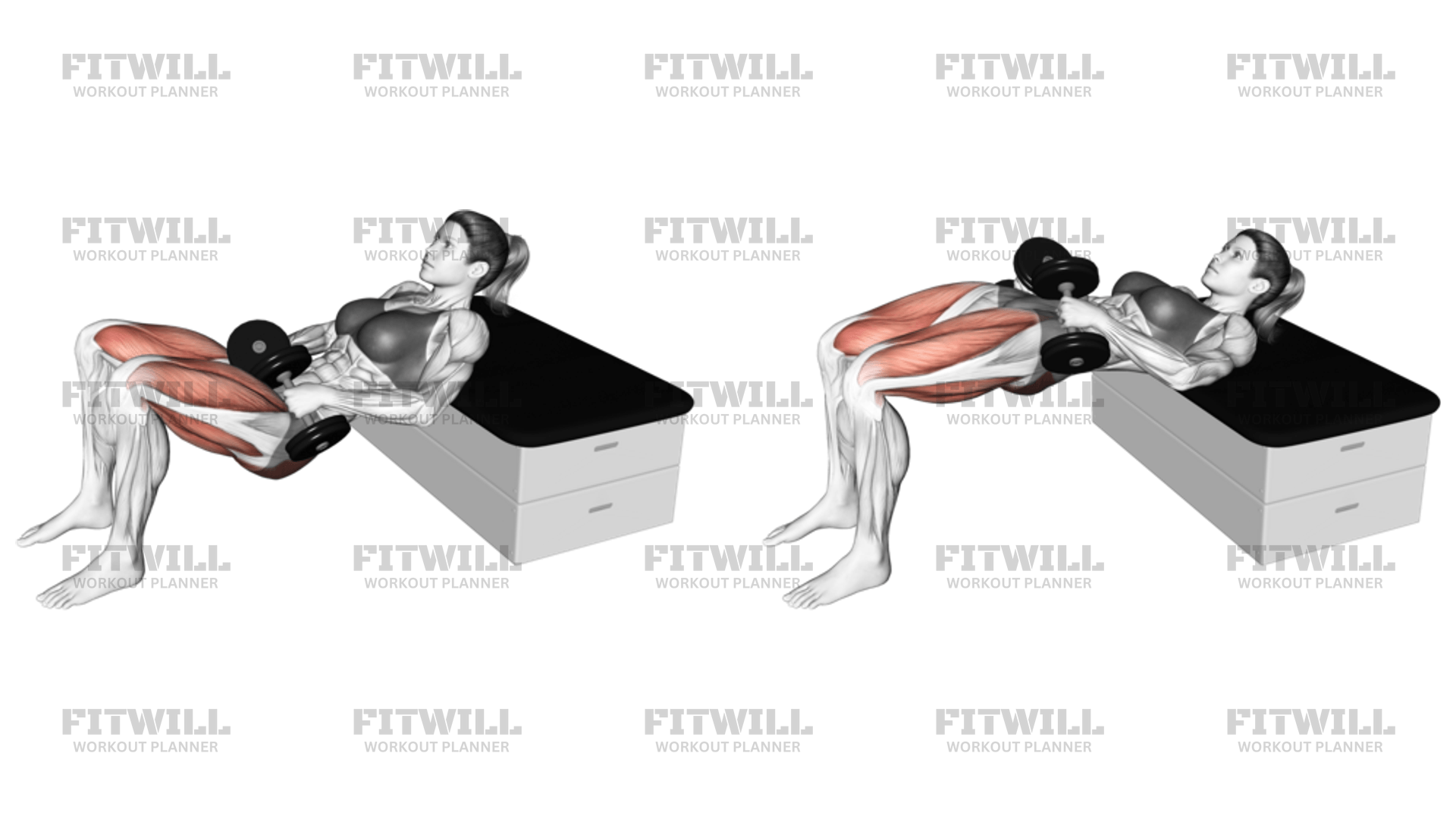 Dumbbell Kas Glute Bridge Exercise Guide Techniques Benefits How To