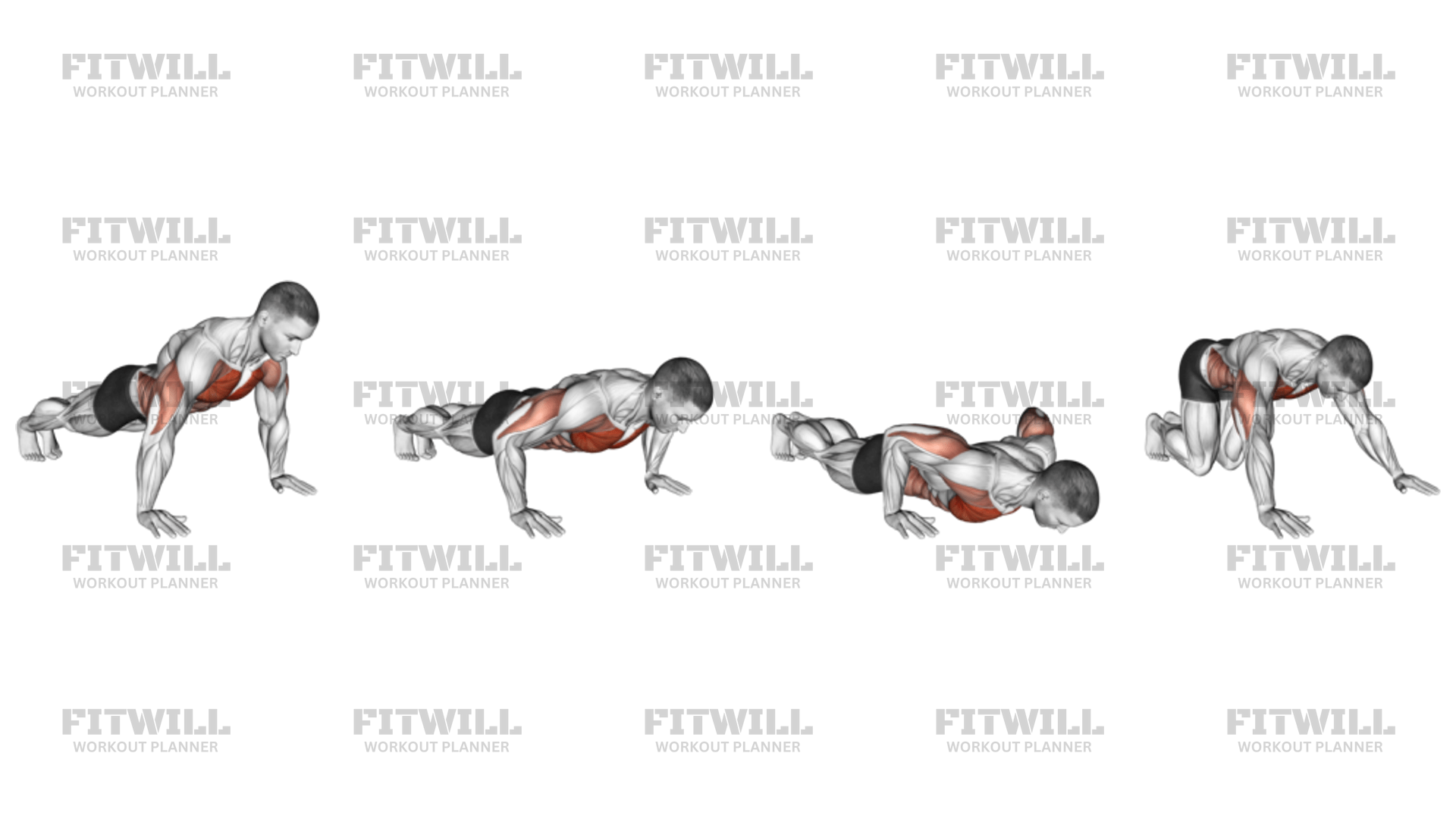 Negative Push-up: Exercise Guide, Techniques, Benefits, How to, Muscles ...