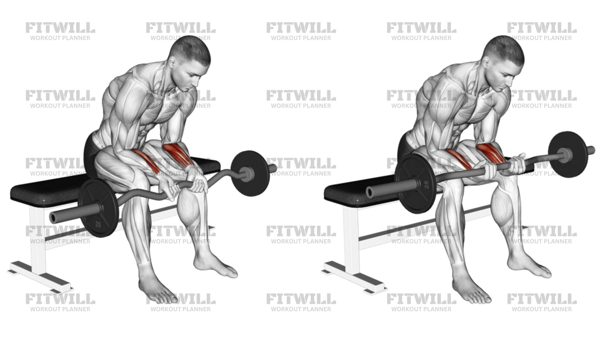 EZ Bar Seated Wrist Curl: Exercise Guide, Video, Techniques, Benefits ...