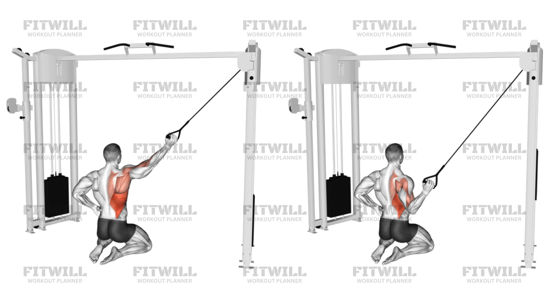 Cable Kneeling Single Lat Pulldown: Exercise Guide, Techniques ...